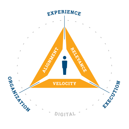 Intevity Accelerator Programs
